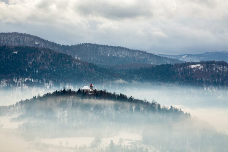 Photos of the Ljubljana Marshes in Slovenia. Buy fine art canvas prints...