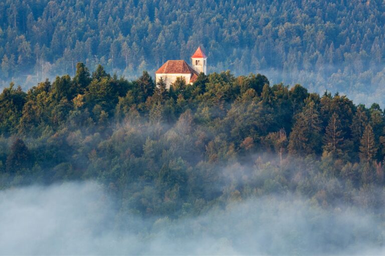 Photos of the Ljubljana Marshes in Slovenia. Buy fine art canvas prints...