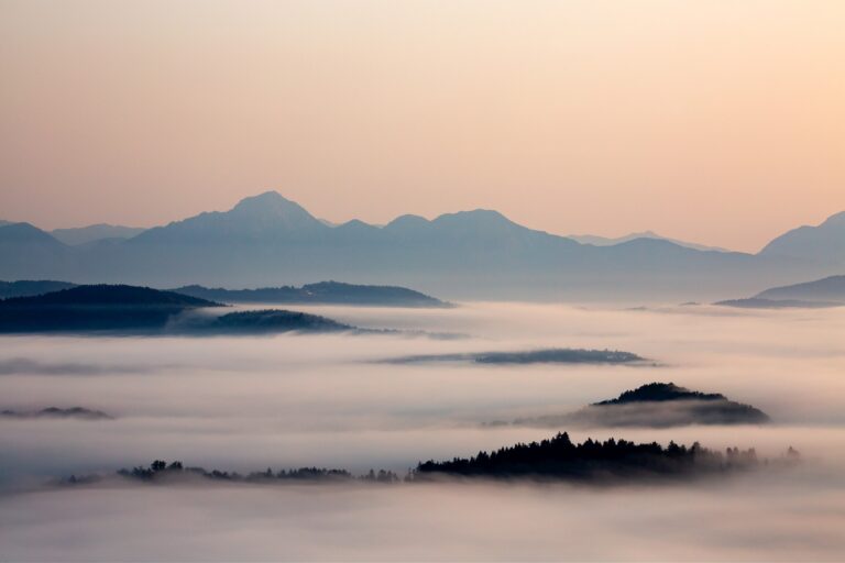 Photos of the Ljubljana Marshes in Slovenia. Buy fine art canvas prints...